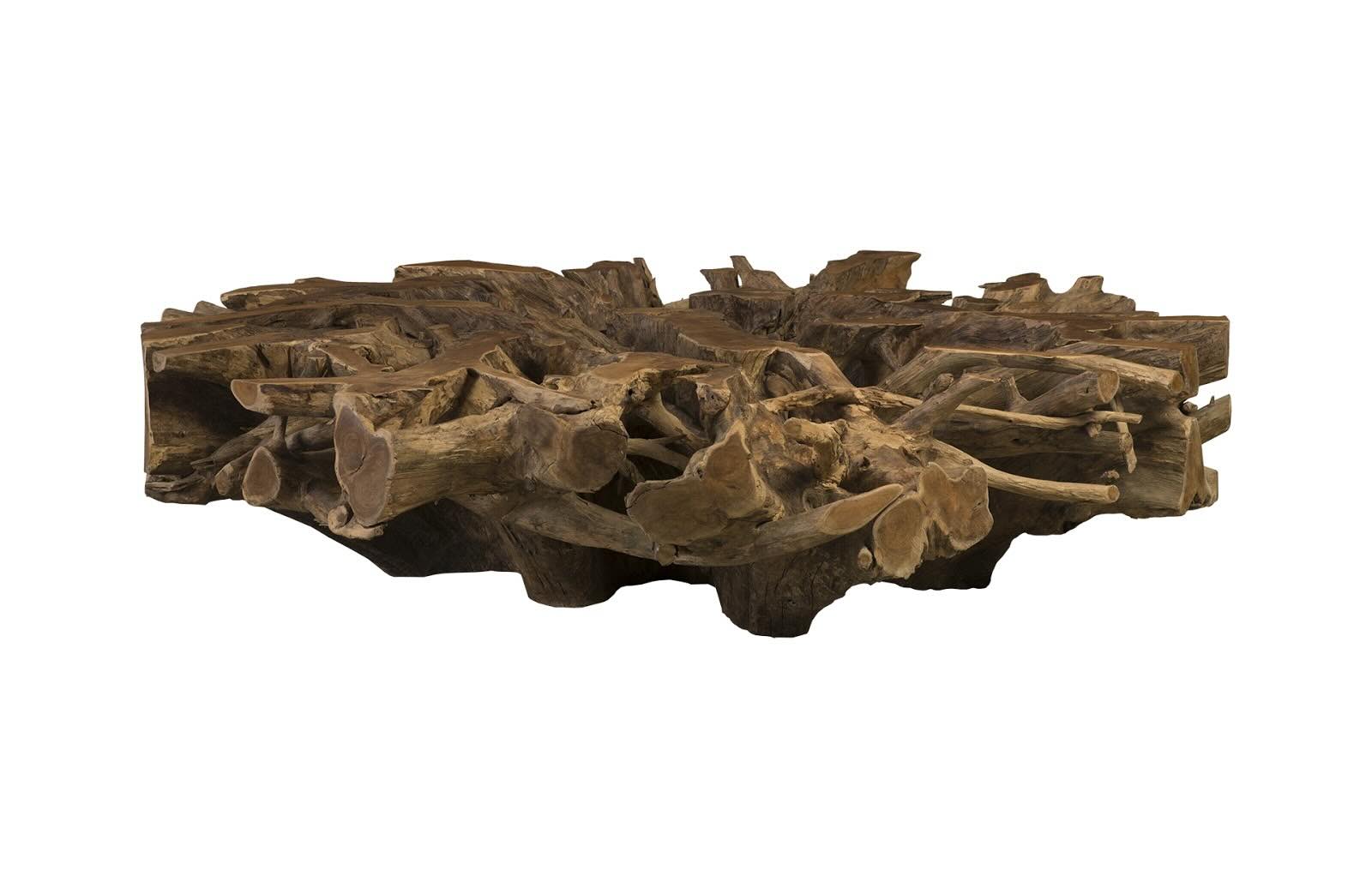 Root Coffee Tables for a Nature-Inspired Living Space